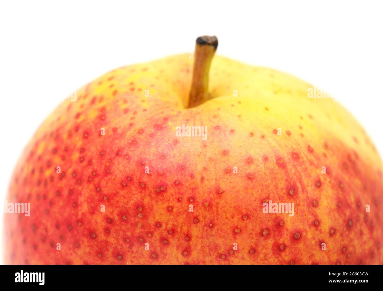 Large very round yellow and red pear fruit isolated on white background ...