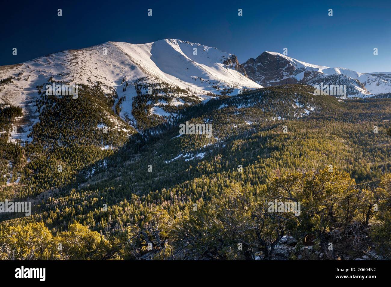 Wheeler Peak massif at sunset in mid-May, Snake Range, Great Basin ...