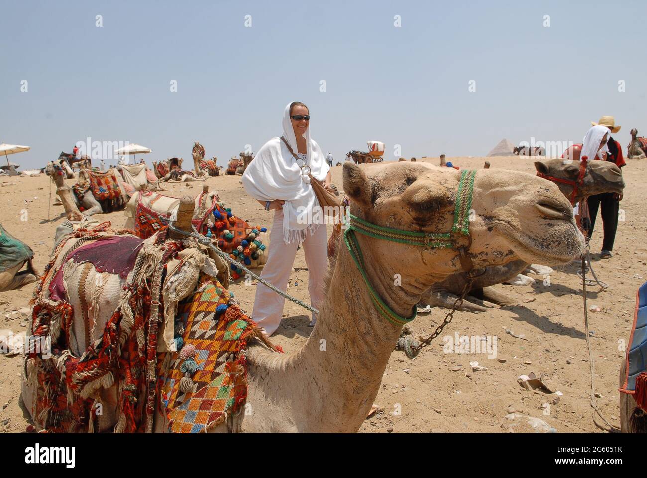 Tourists camel taking a rest at the Pyramids of Giza, Cairo, Egypt ...