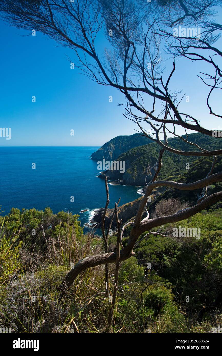 Cape Brett Track Raukamangamanga Stock Photo - Alamy