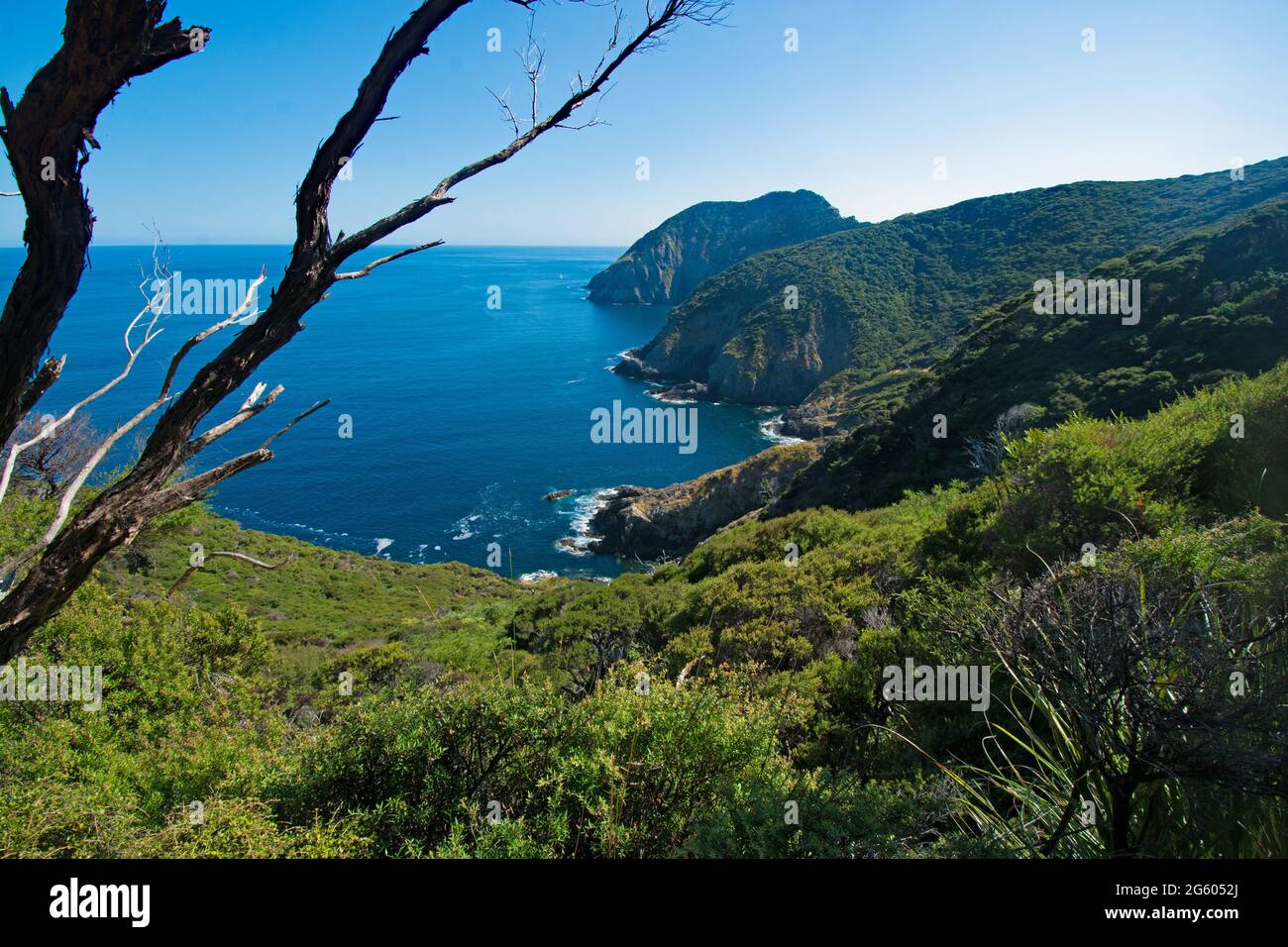 Cape Brett Track Raukamangamanga Stock Photo - Alamy