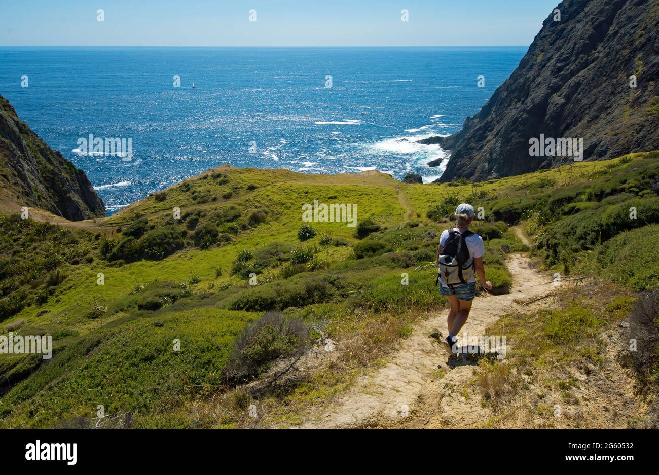 Cape Brett Walk High Resolution Stock Photography and Images - Alamy