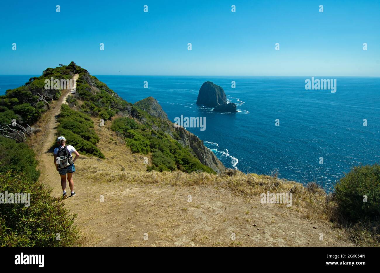 Cape Brett Track Raukamangamanga Stock Photo - Alamy