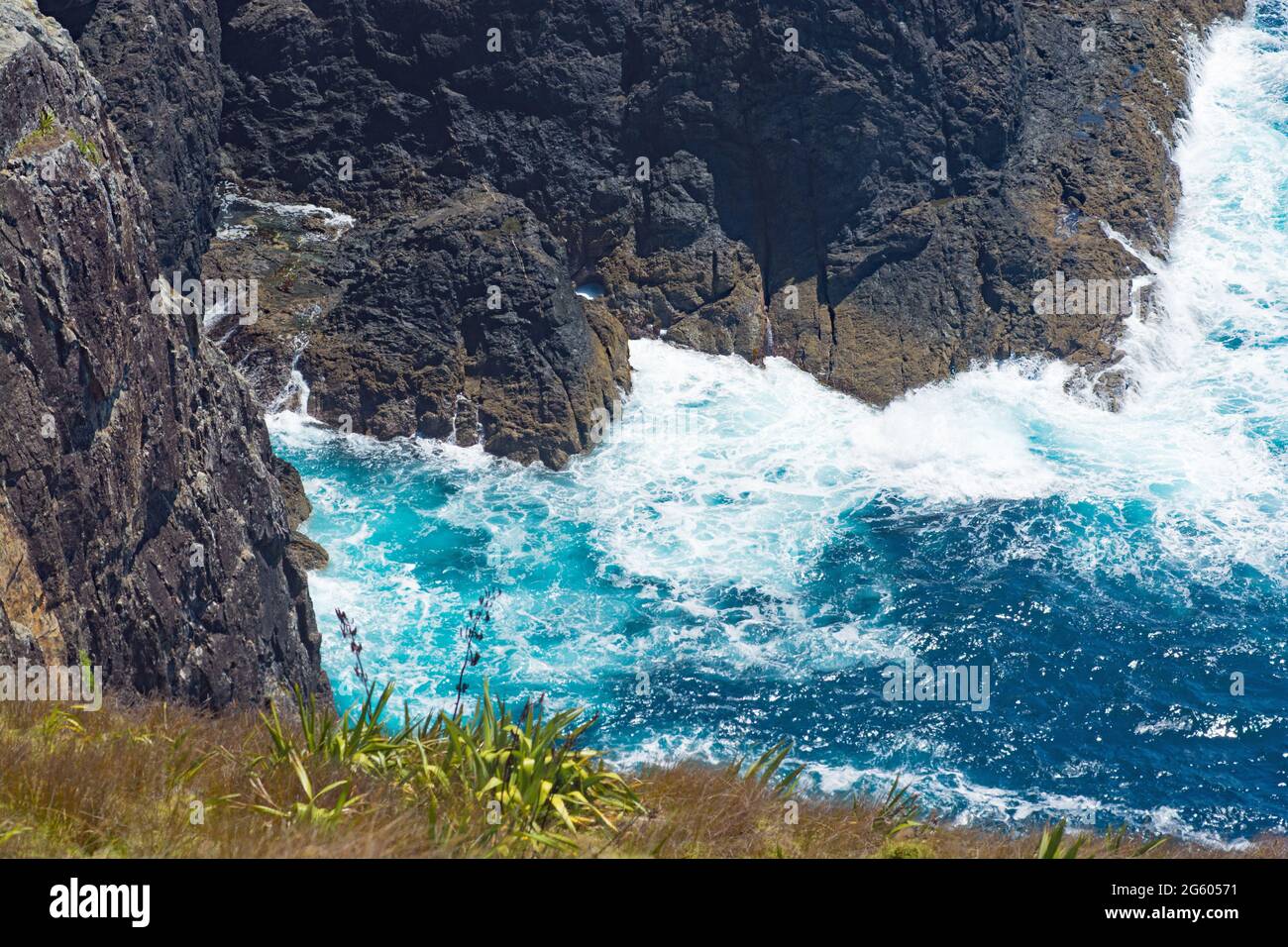 Cape Brett Track Raukamangamanga Stock Photo - Alamy