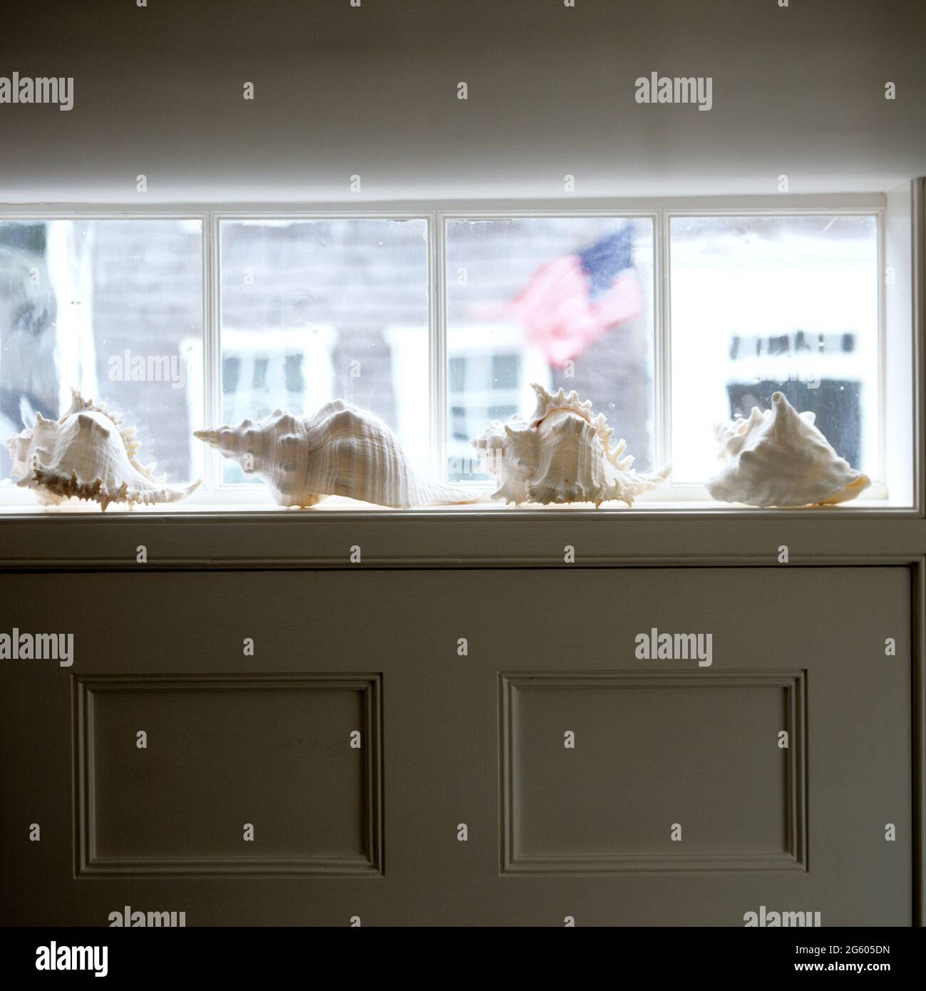 Row of seashells on windowsill Stock Photo - Alamy