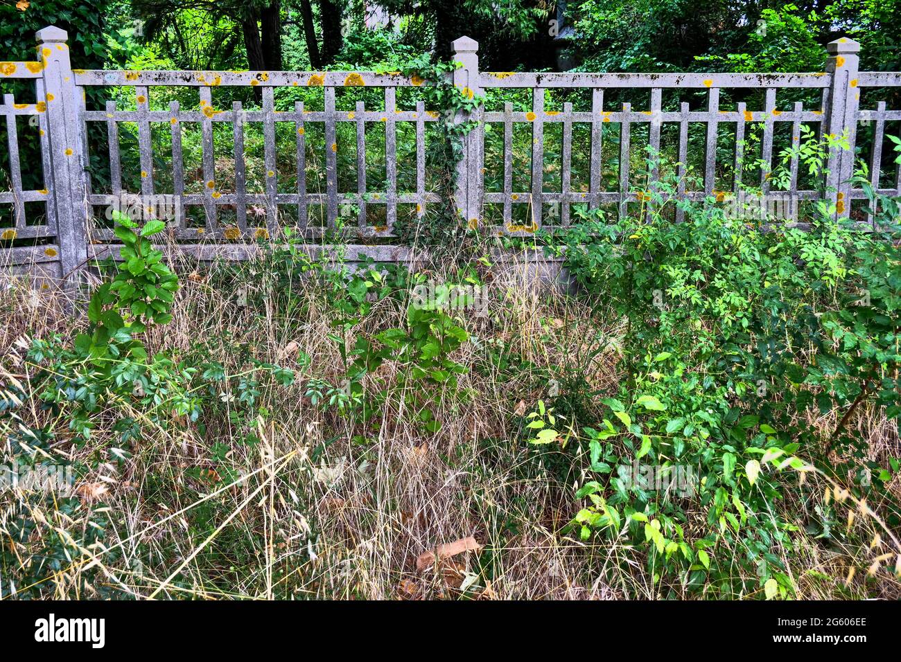 Concrete made fence enclosing an abandoned garden, Conceptual ...