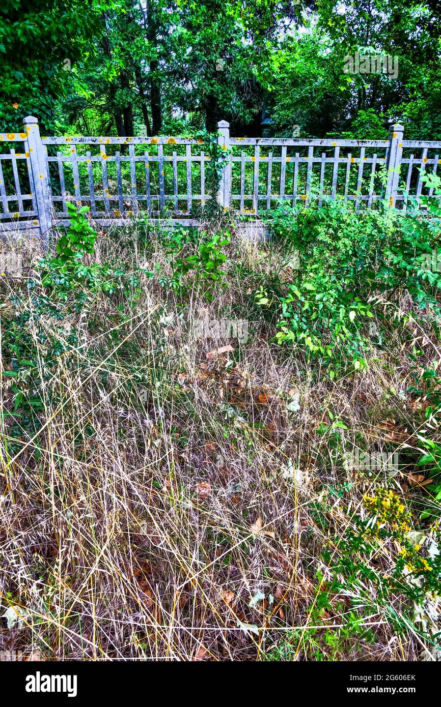Concrete made fence enclosing an abandoned garden, Conceptual ...
