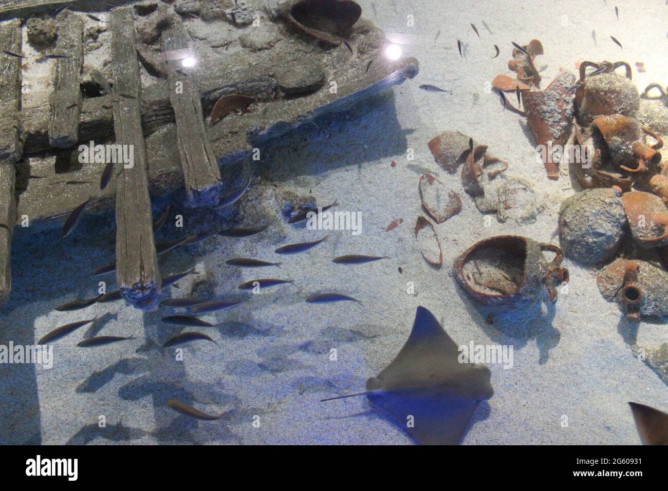 Istanbul Aquarium - Aqua Florya - Istanbul ,Turkey Stock Photo - Alamy