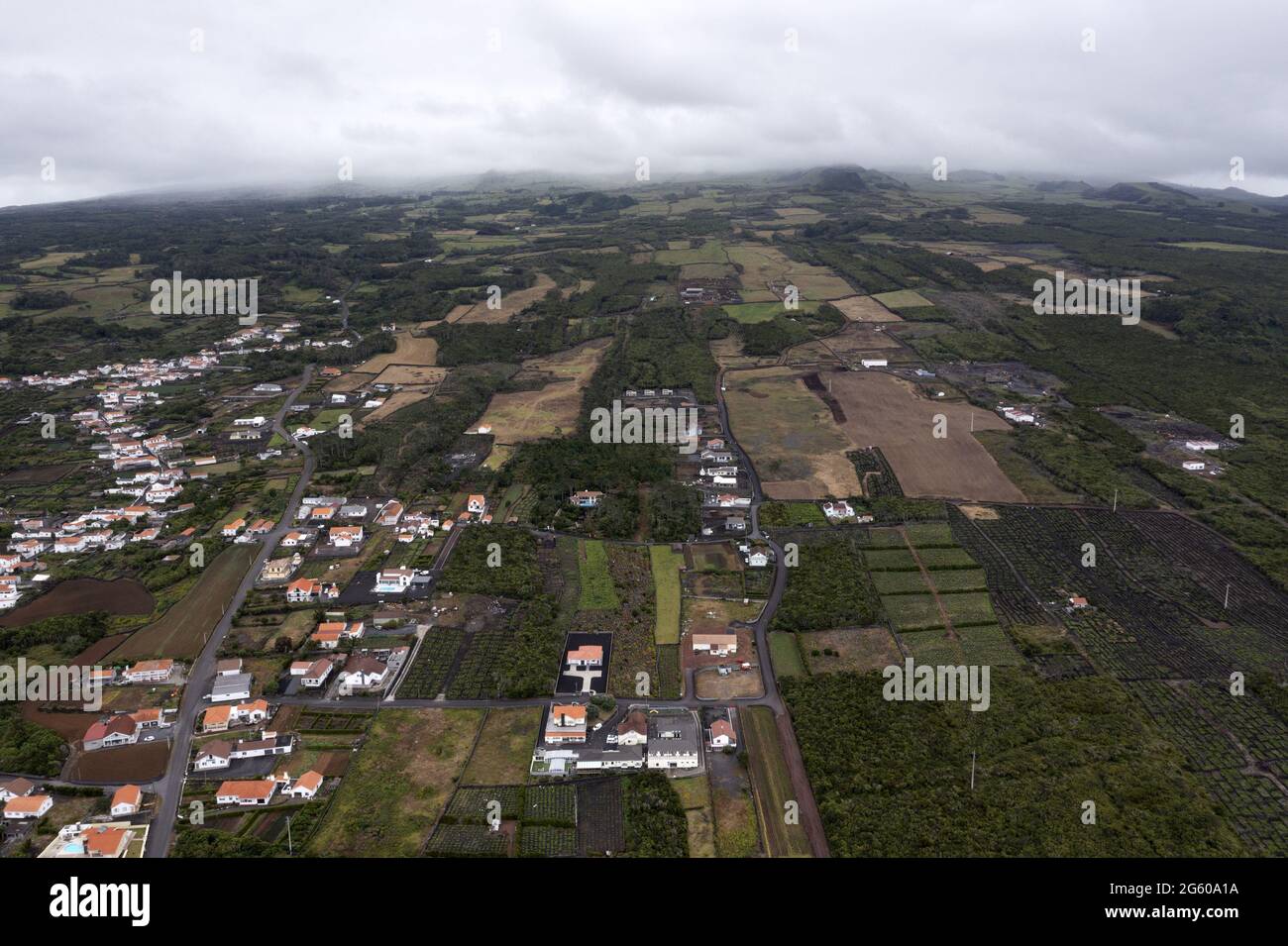 Pico Island Azores vineyard wine grapes protected by lava stone aerial ...