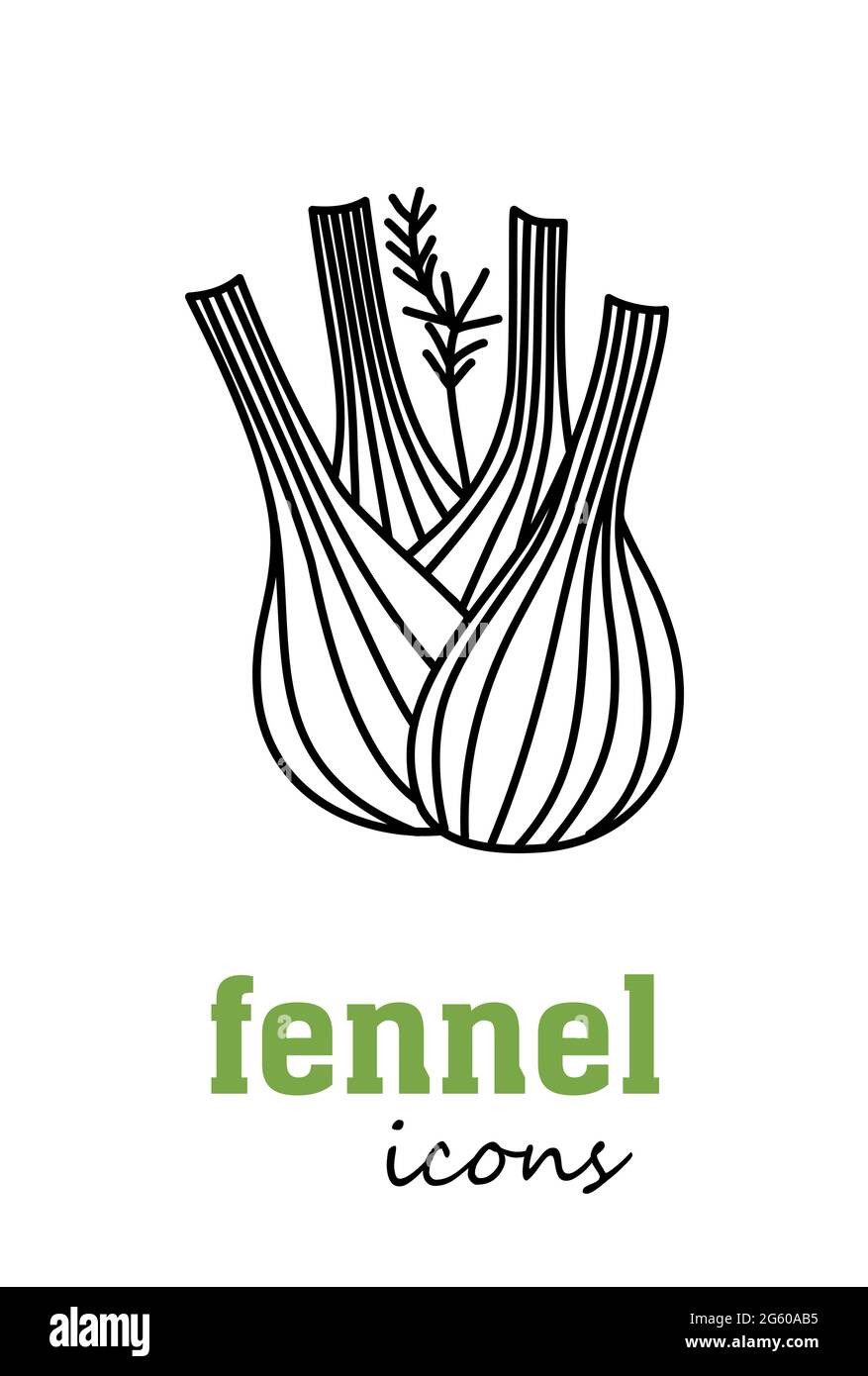 fennel vector icon. Vegetable green leaves. Greenery. Culinary herb ...