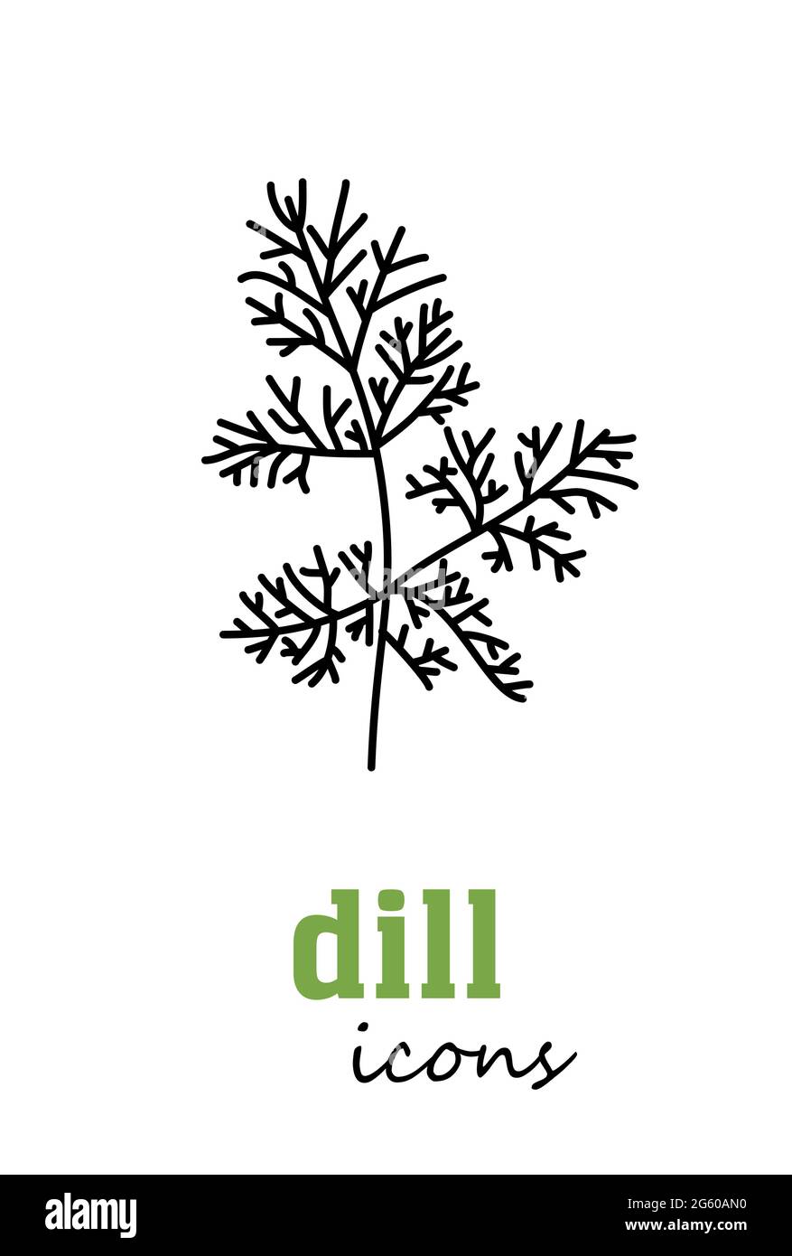 Dill vector icon. Vegetable green leaves. Greenery. Culinary herb spice ...
