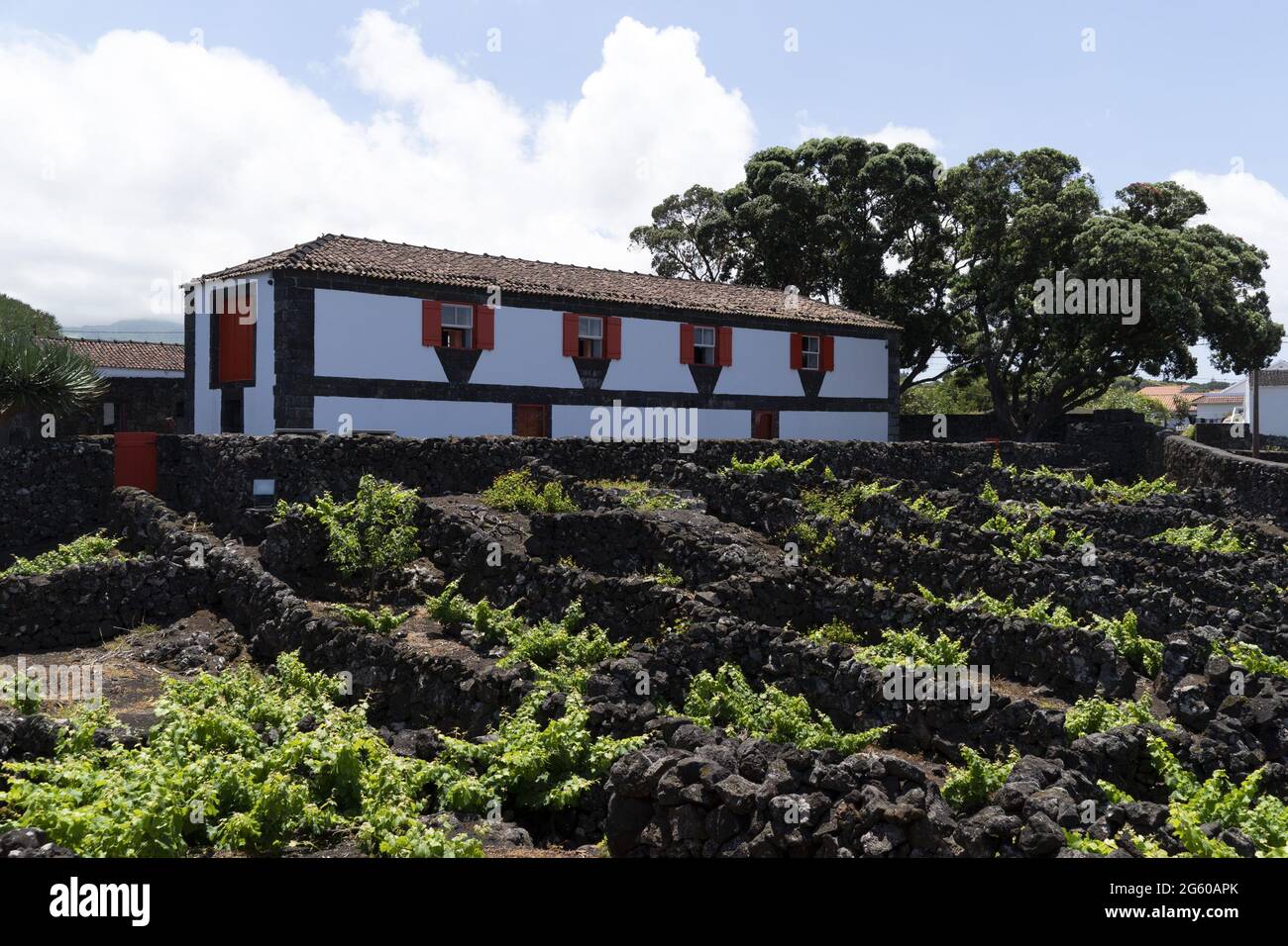 Azores old wine factory building detail Stock Photo - Alamy