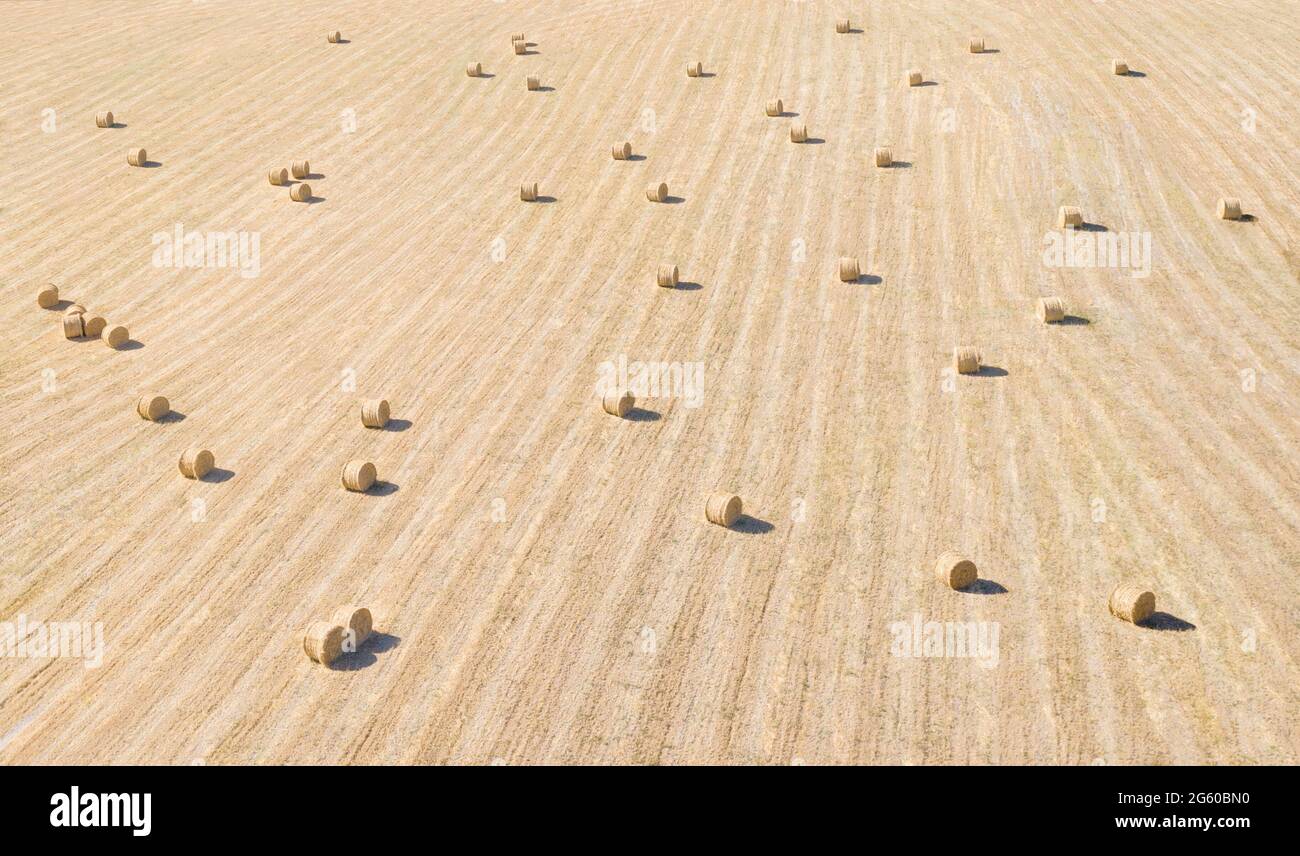 Aerial panorama of hay field with hay bales and cut grass striped ...