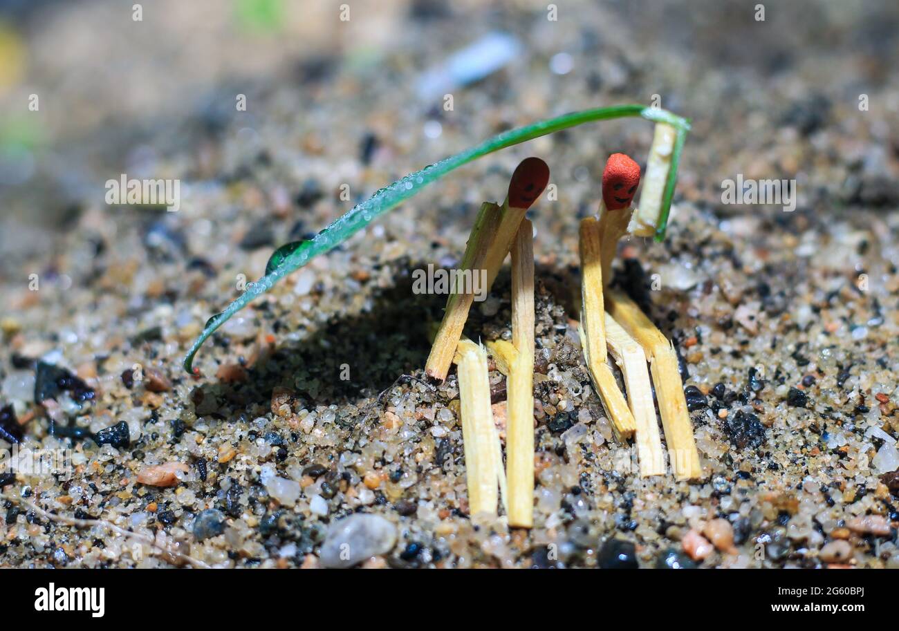 Matchstick art photography used matchsticks to create the character ...