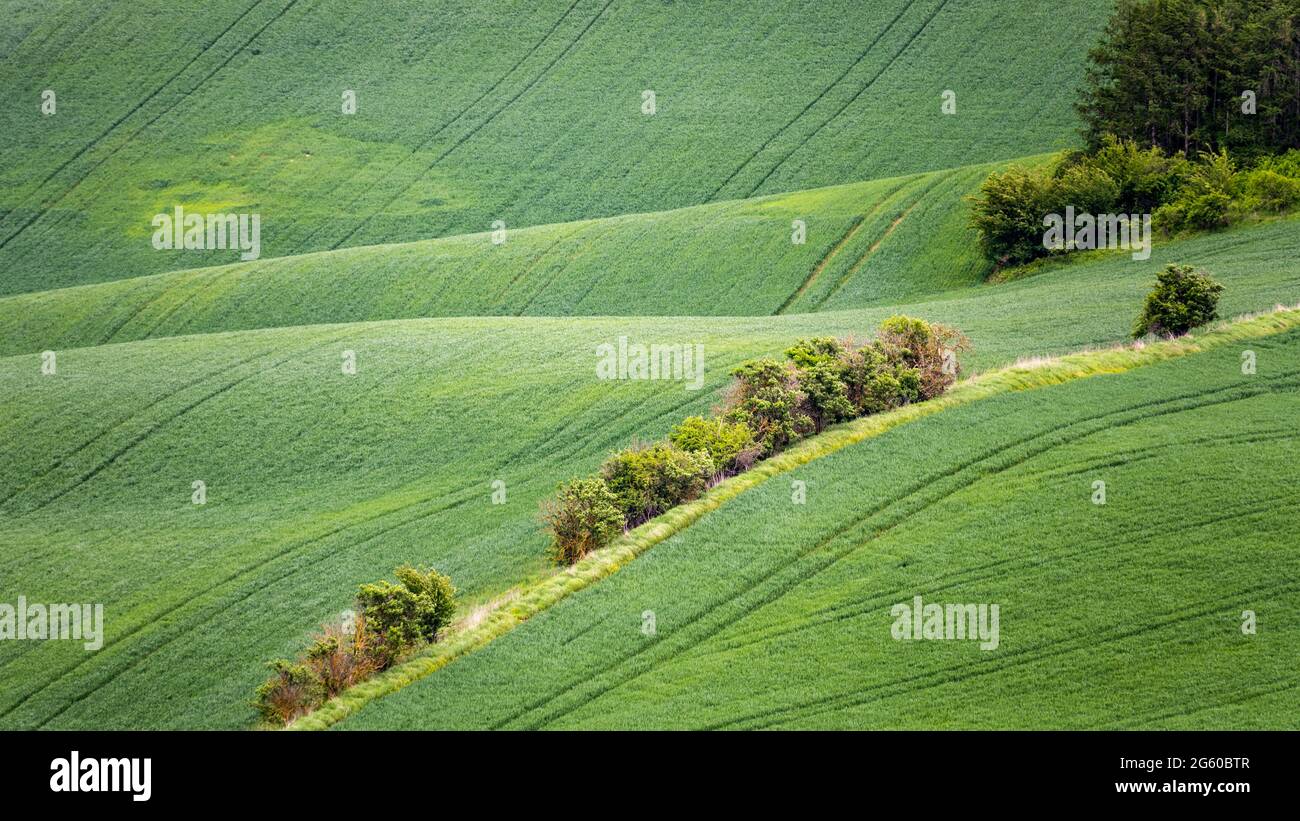 Wavy agricultural field of Moravian Tuscany Stock Photo - Alamy