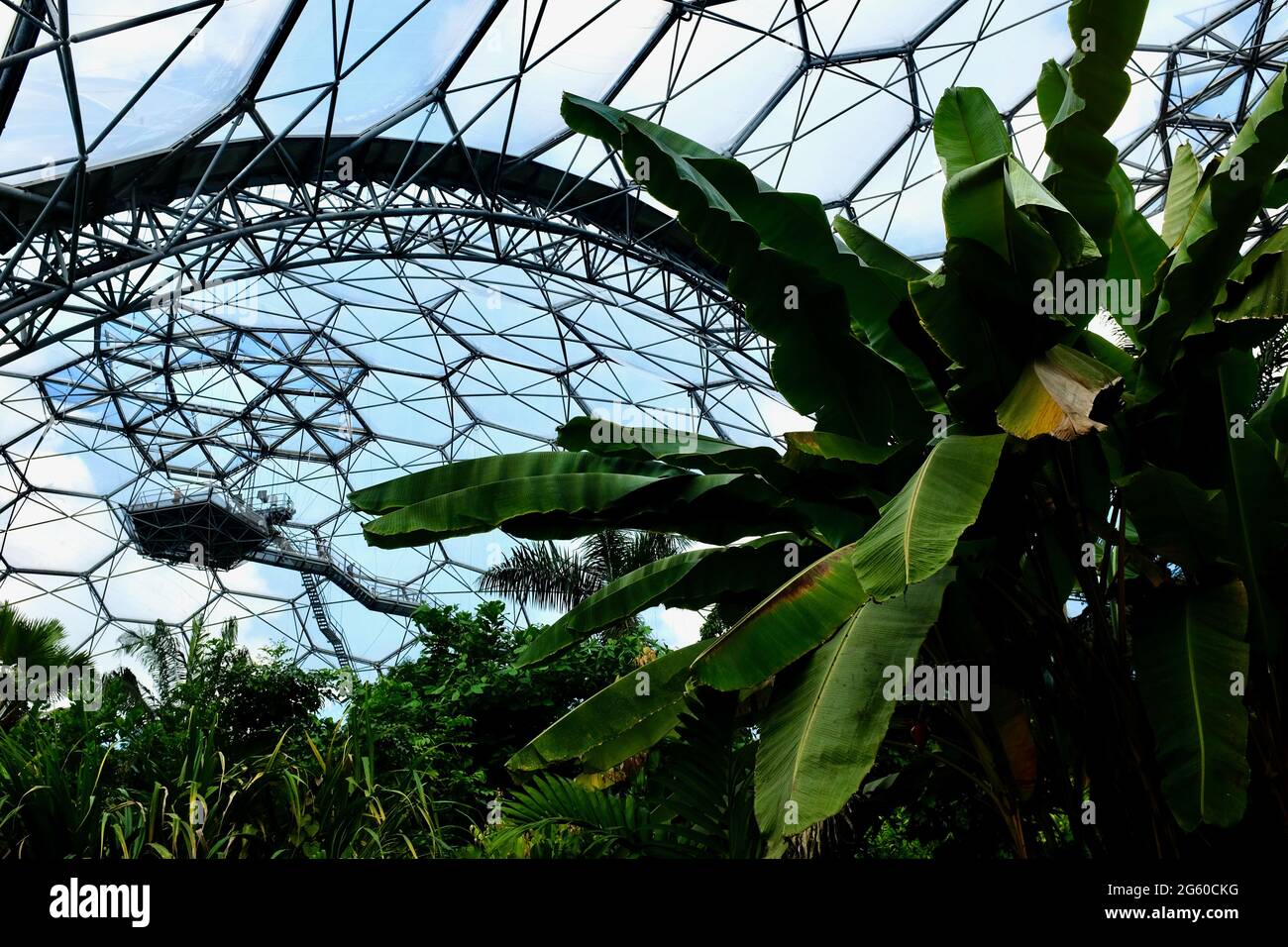 Tropical rainforest biome hi-res stock photography and images - Alamy