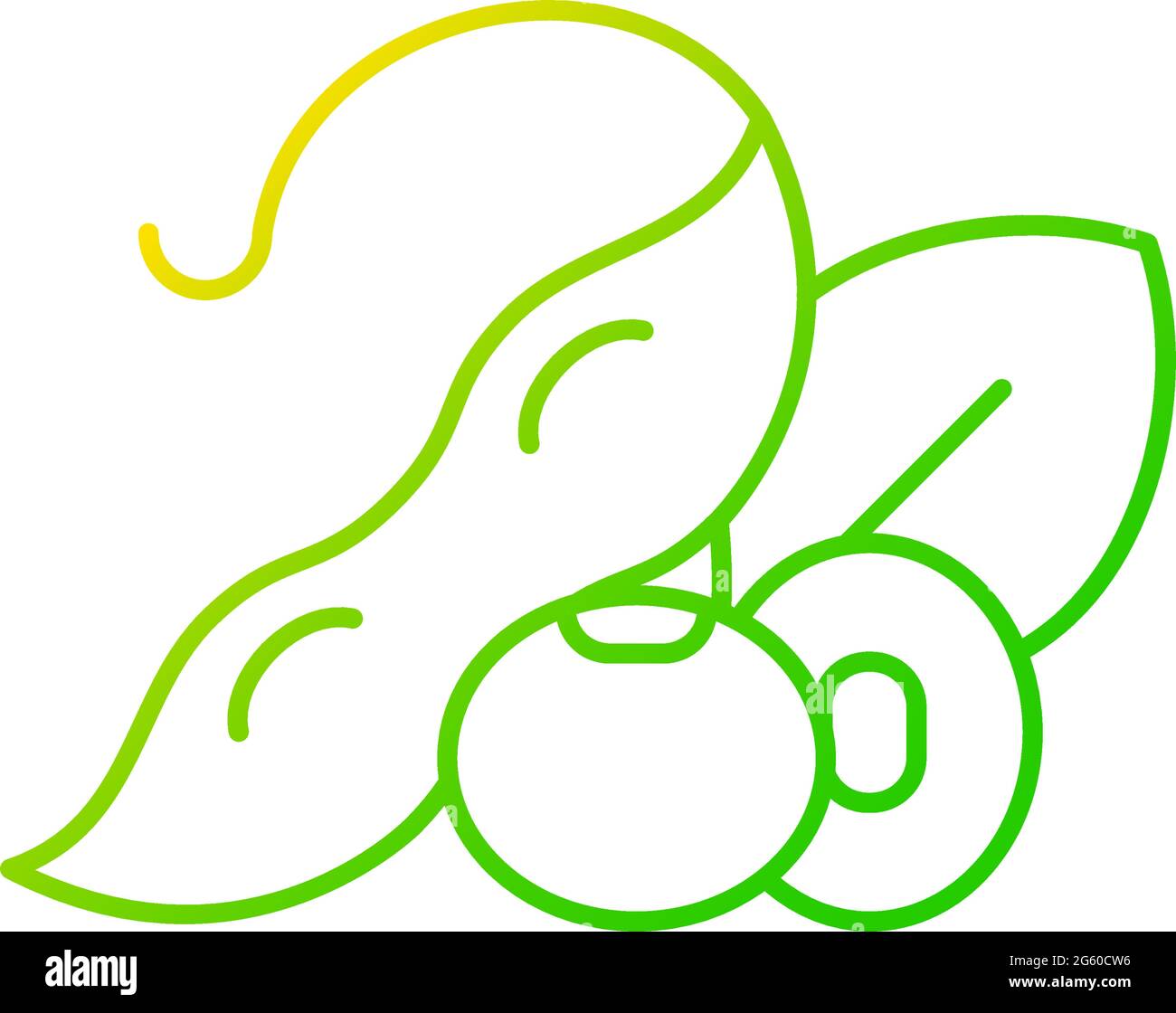 Soybean gradient linear vector icon Stock Vector Image & Art - Alamy