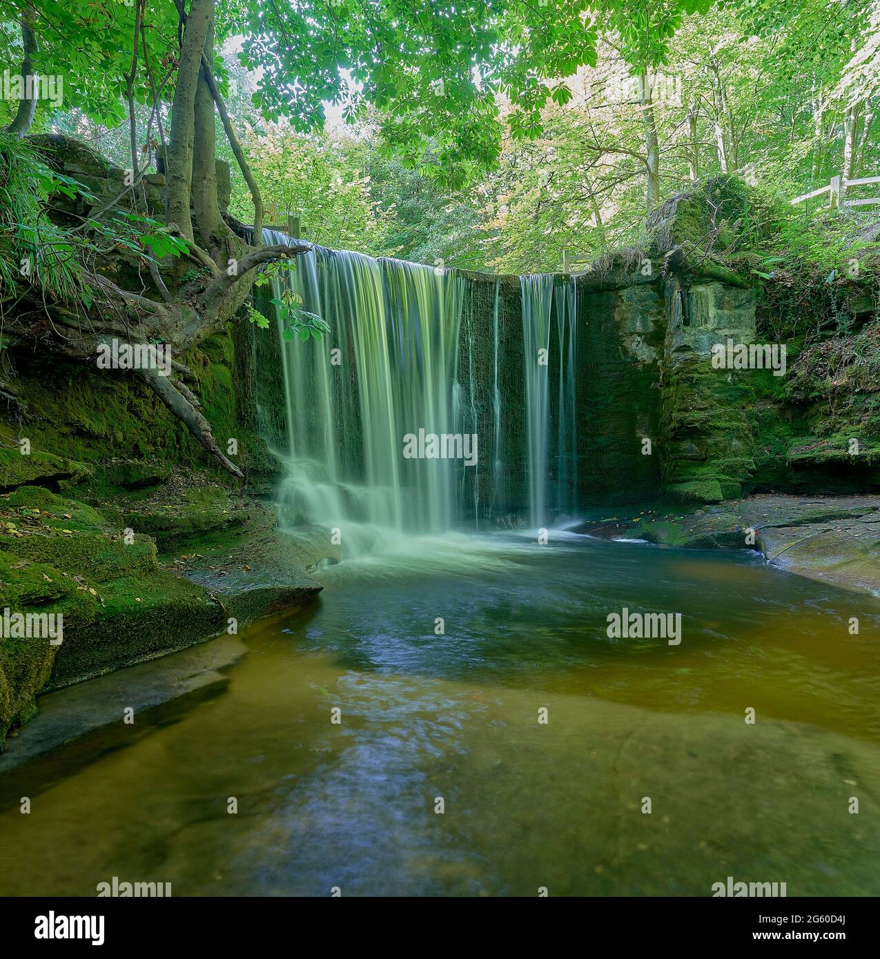 Plas power woods hi-res stock photography and images - Alamy