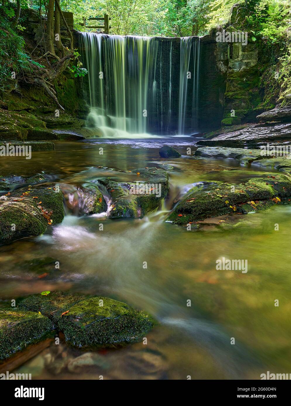 Plas Power woods Waterfall, Wrexham Stock Photo - Alamy