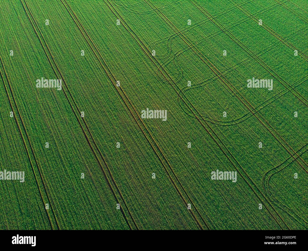 Aerial top view of the green field. Agriculture concept Stock Photo - Alamy