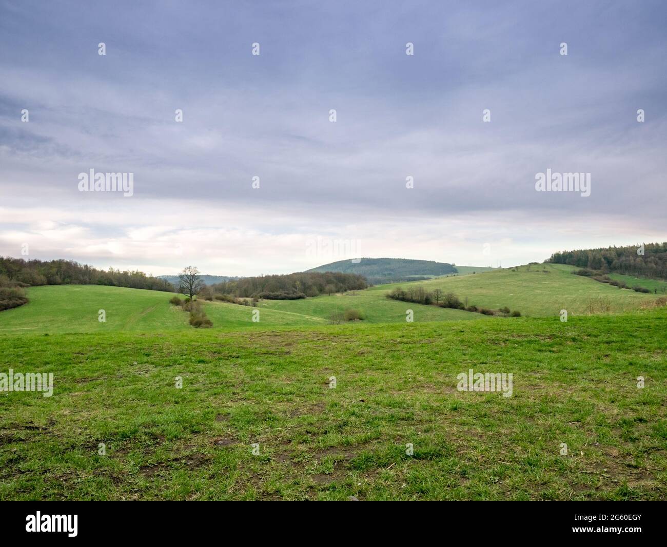 Meadows Of Heaven