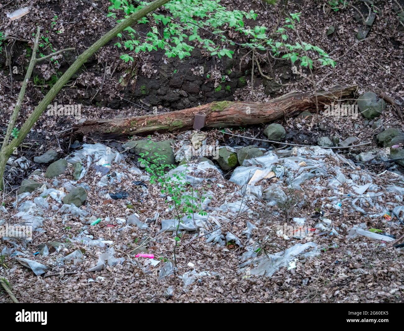 Illegal garbage dump in a dark forest gorge Stock Photo - Alamy