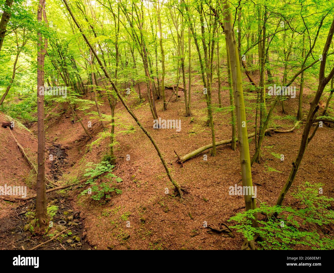 Deep Ravine High Resolution Stock Photography and Images - Alamy