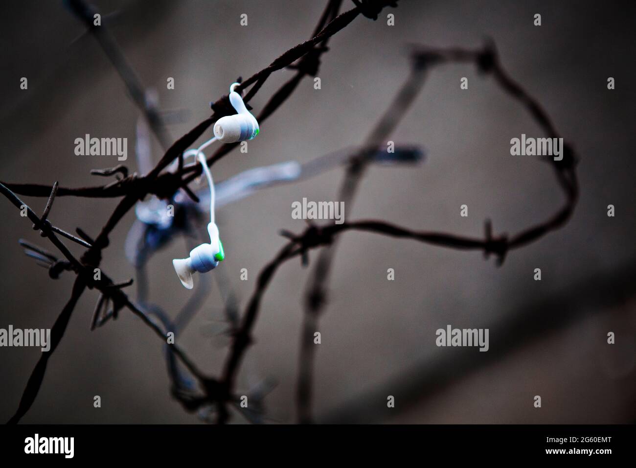 Tangled Razor Wire High Resolution Stock Photography and Images - Alamy