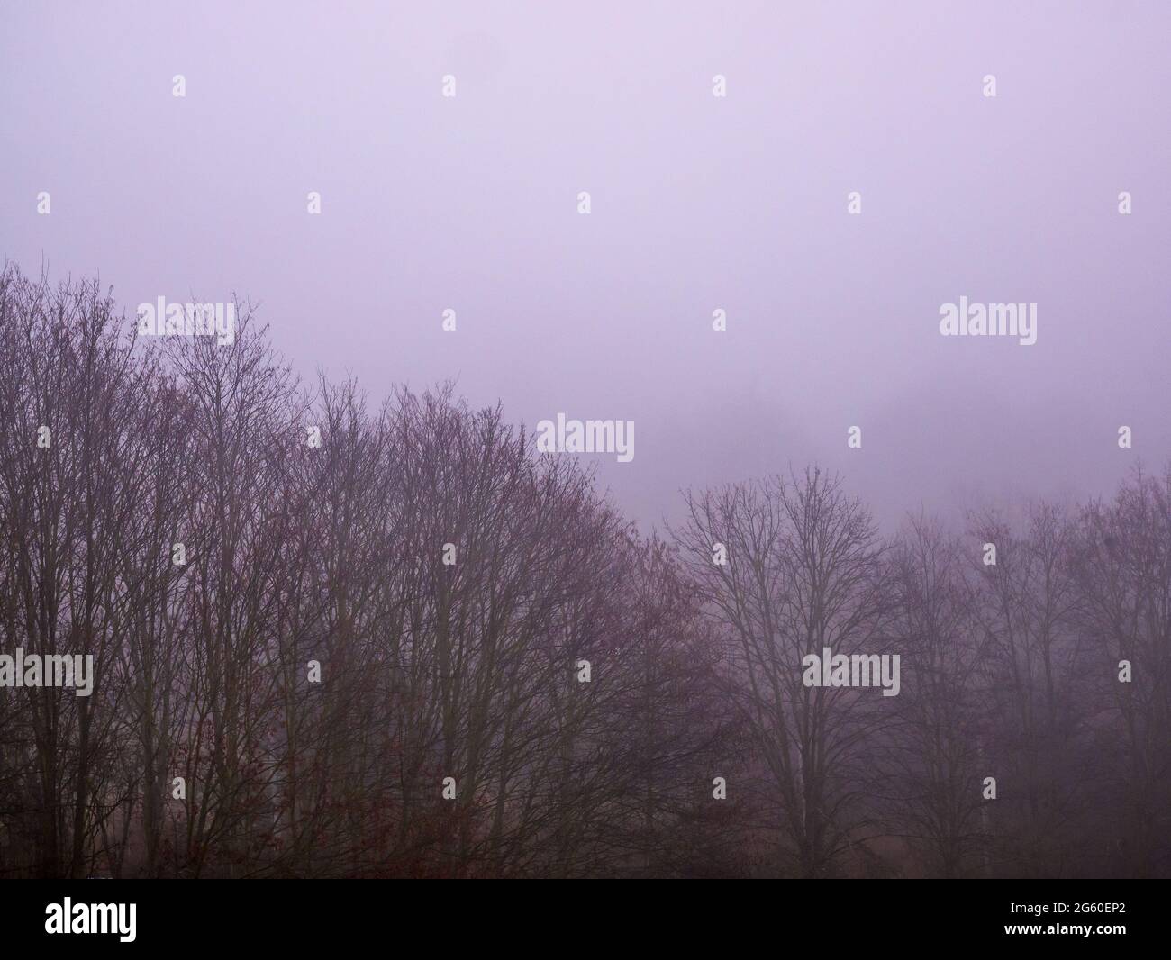 Thick fog background hi-res stock photography and images - Alamy