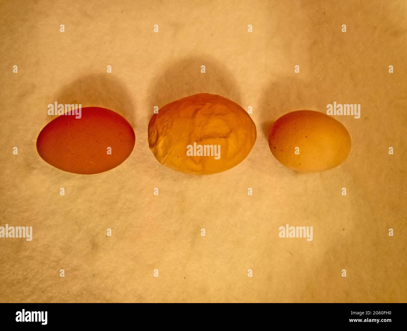 Wrinkled eggs hi-res stock photography and images - Alamy