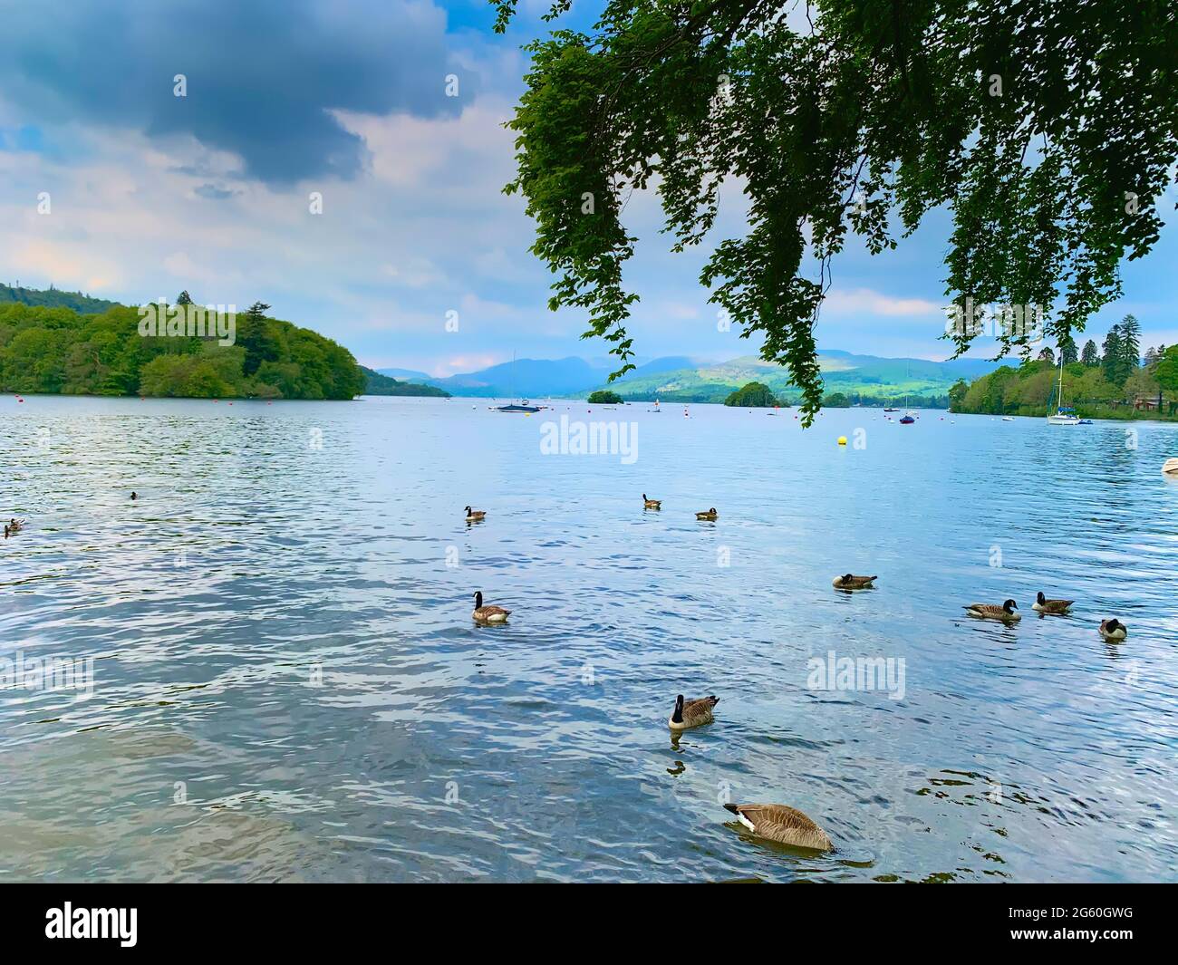 beautiful view of Windermere lake in lake district in summer Stock ...