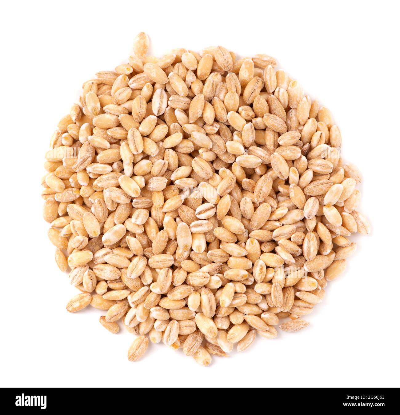 Pearl barley grains, isolated on white background. Barley seed close up ...