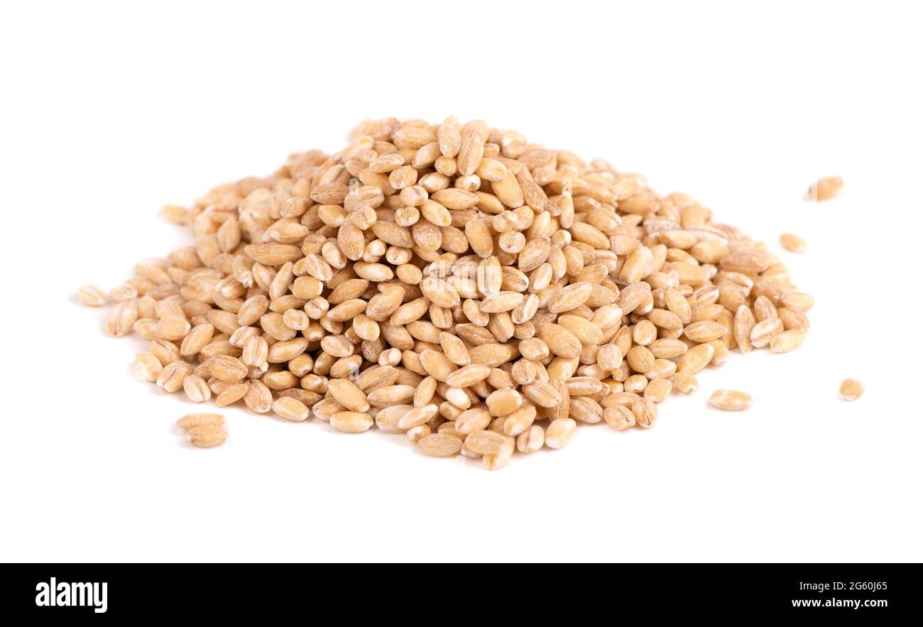 Pearl barley grains, isolated on white background. Barley seed close up ...