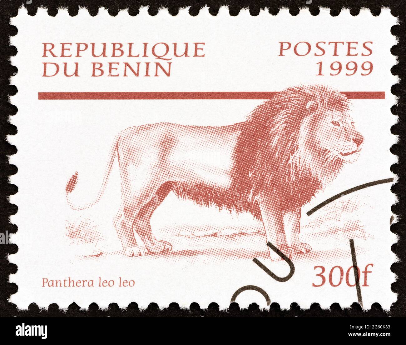 BENIN - CIRCA 1999: A stamp printed in Benin from the "Mammals" issue ...