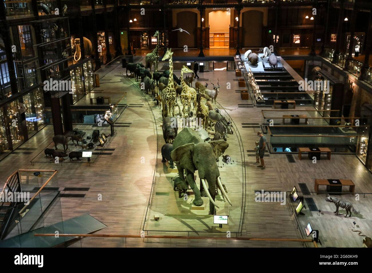 GALLERY OF EVOLUTION, PARIS Stock Photo - Alamy