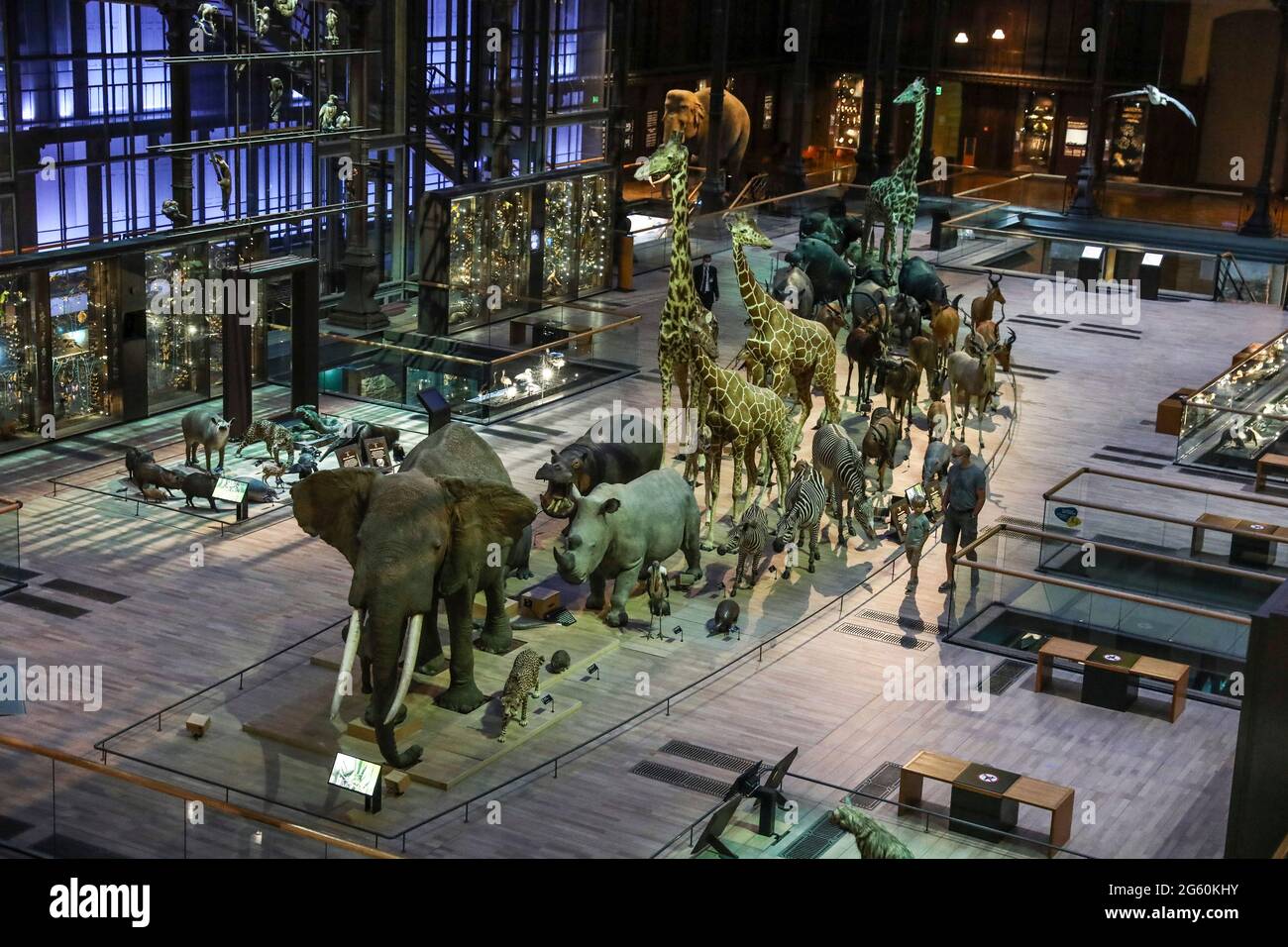 GALLERY OF EVOLUTION, PARIS Stock Photo - Alamy