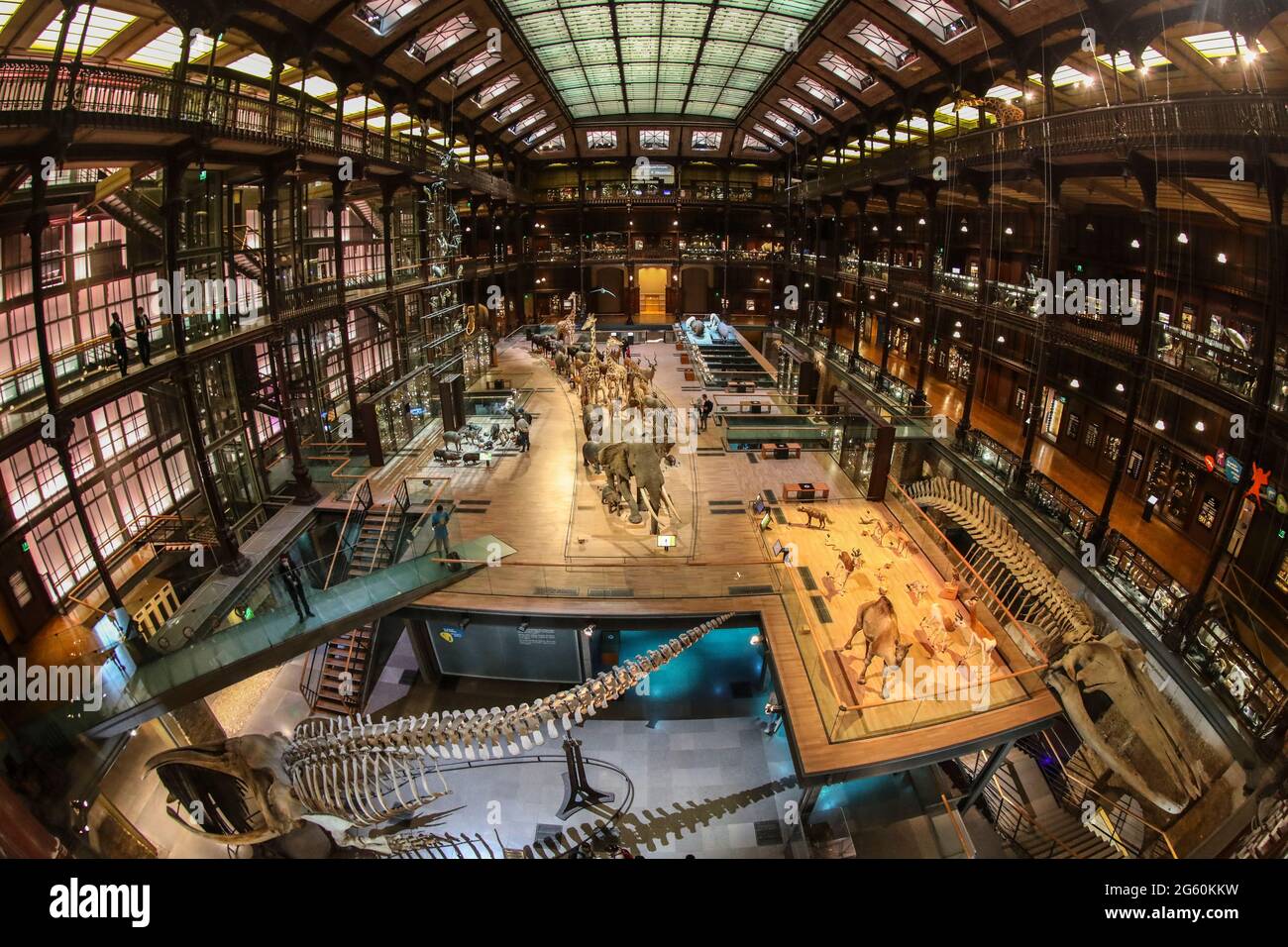 GALLERY OF EVOLUTION, PARIS Stock Photo - Alamy