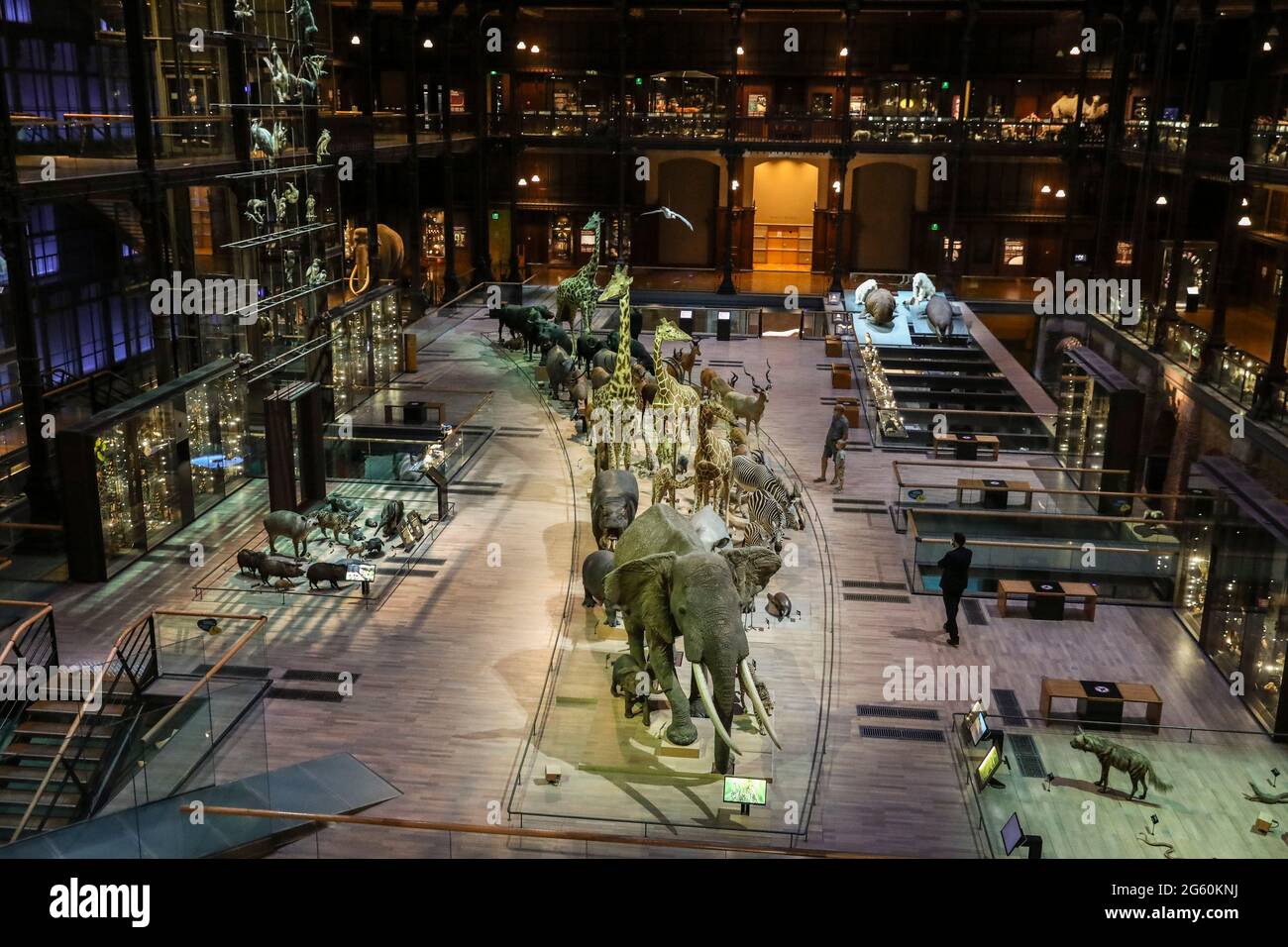 GALLERY OF EVOLUTION, PARIS Stock Photo - Alamy