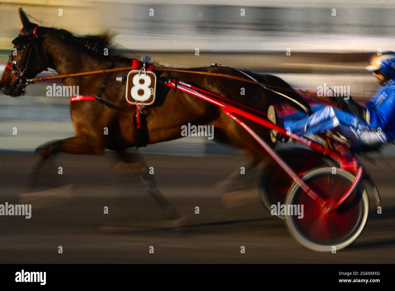 horse racing in malta Stock Photo - Alamy