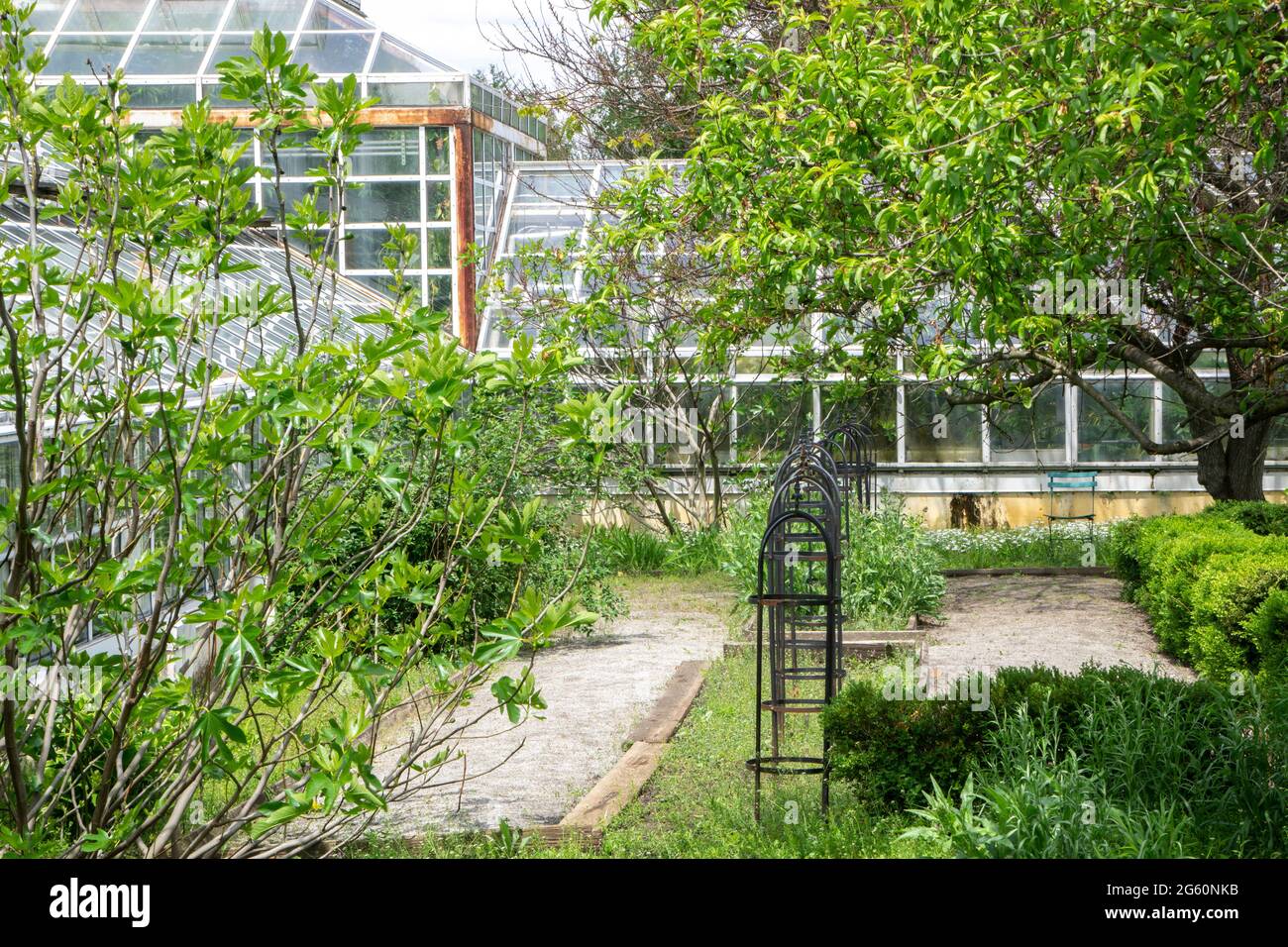 Landscape view of glass greenhouse in a park with bushes, trees ...