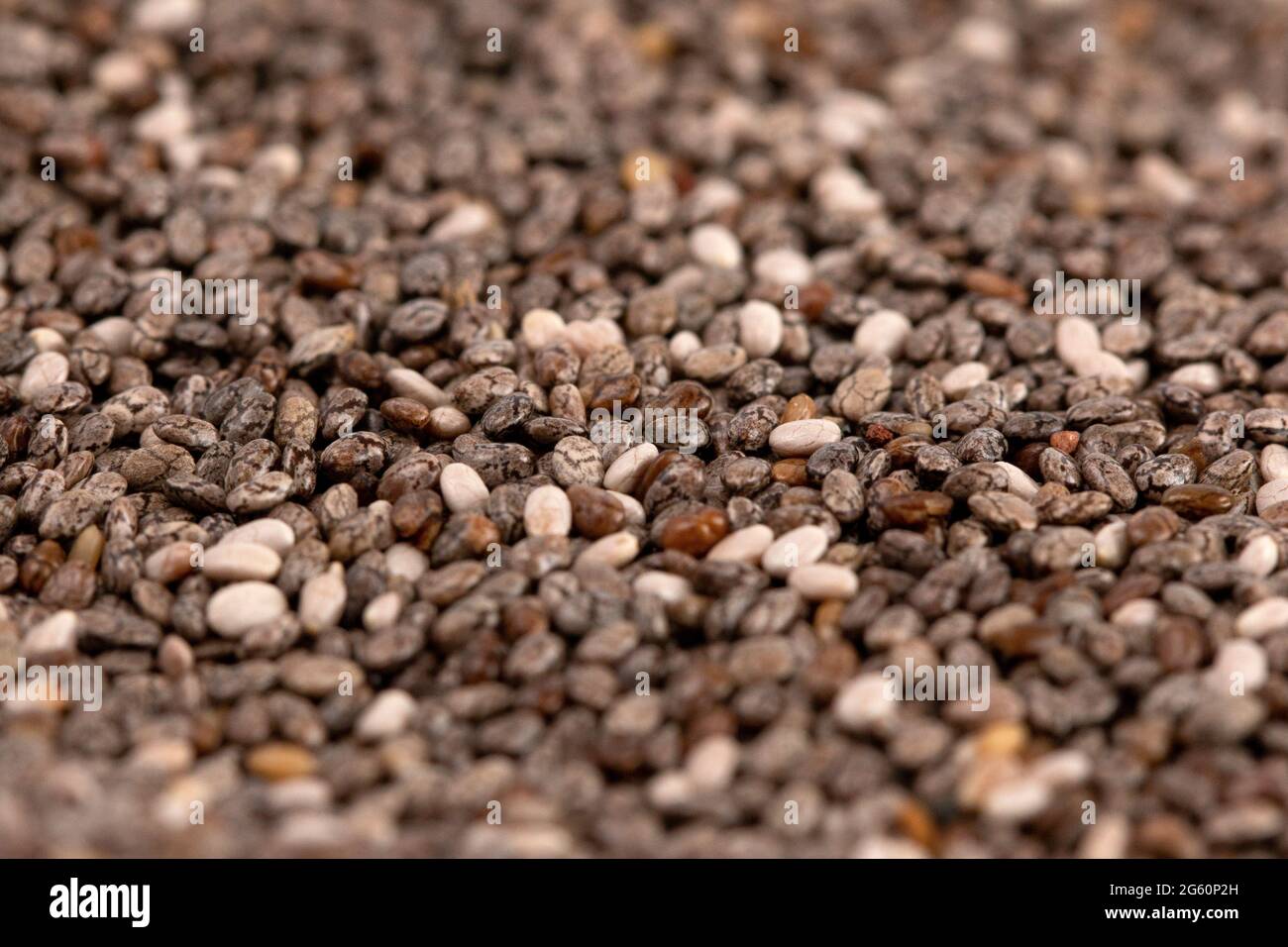 Chai seeds hi-res stock photography and images - Alamy