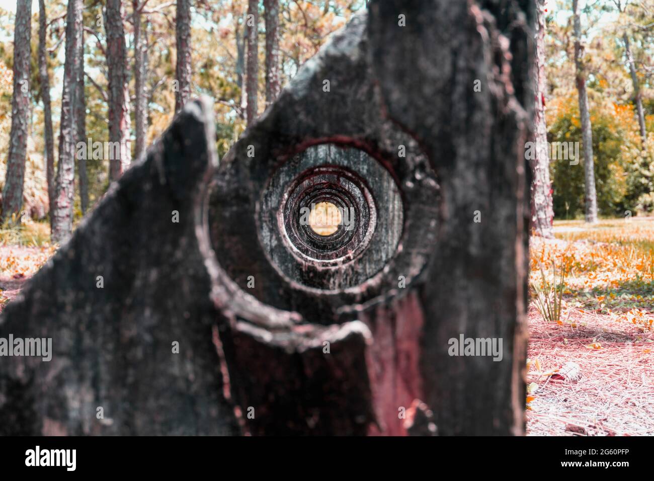Old shooting range hi-res stock photography and images - Alamy