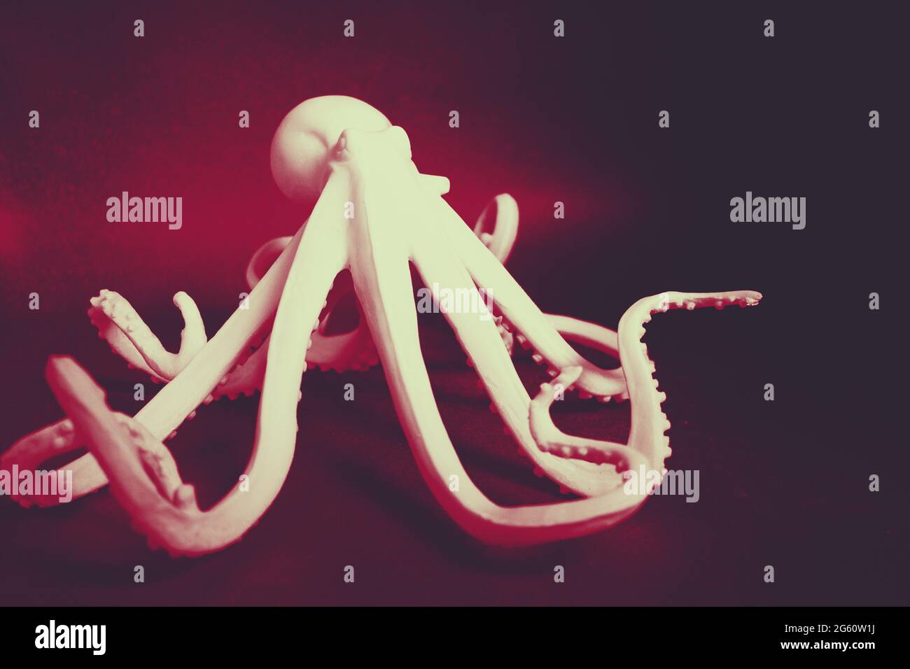 Stone octopus with dark background in bold, bright colors Stock Photo ...