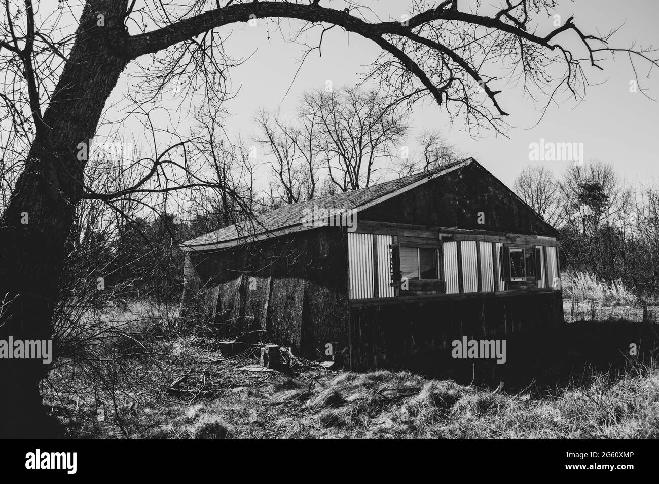 Side view of an old barn, outdoor building, in black and white with a ...