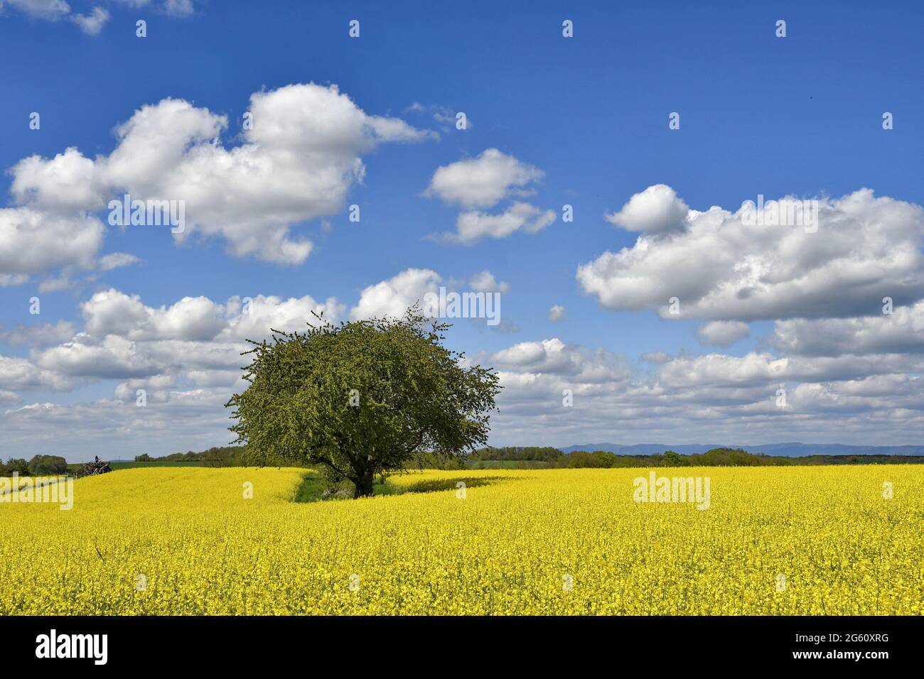 Isolated plateau hi-res stock photography and images - Alamy