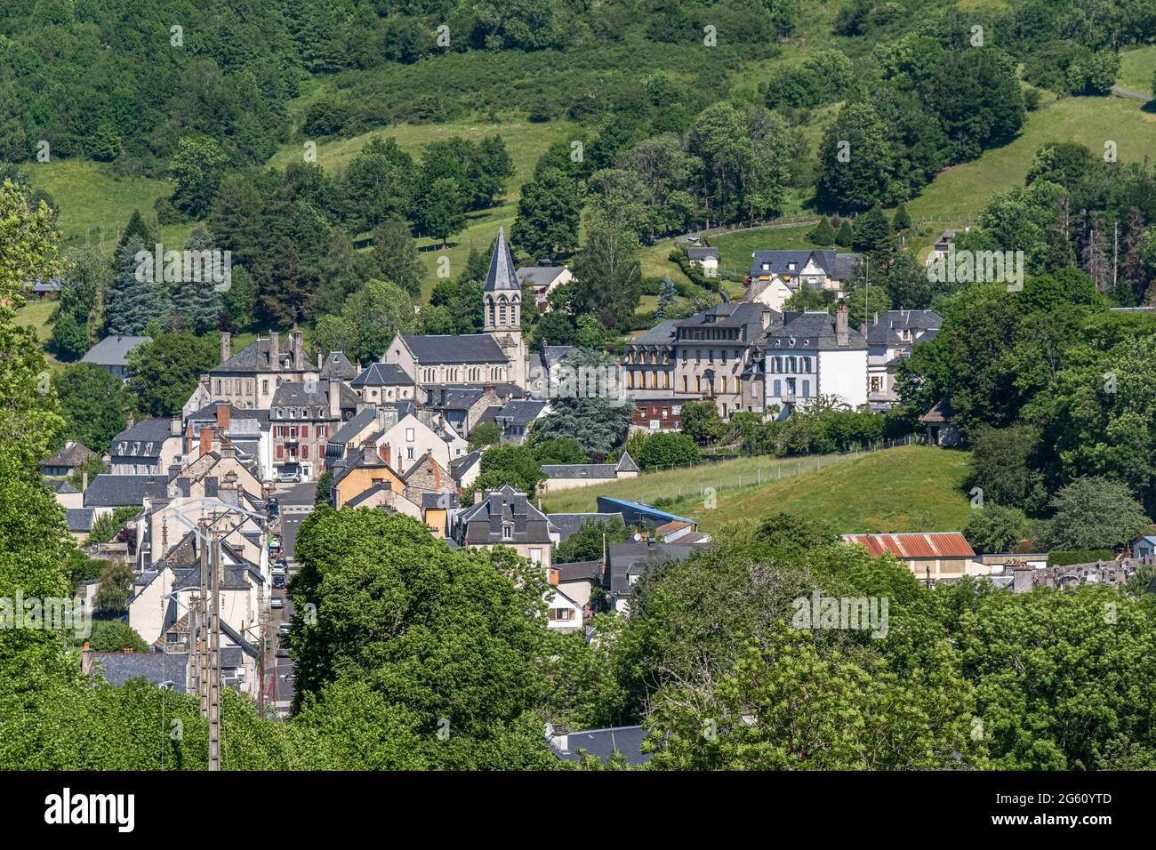 France, Cantal, Condat en Feniers, regional natural park volcanoes of ...