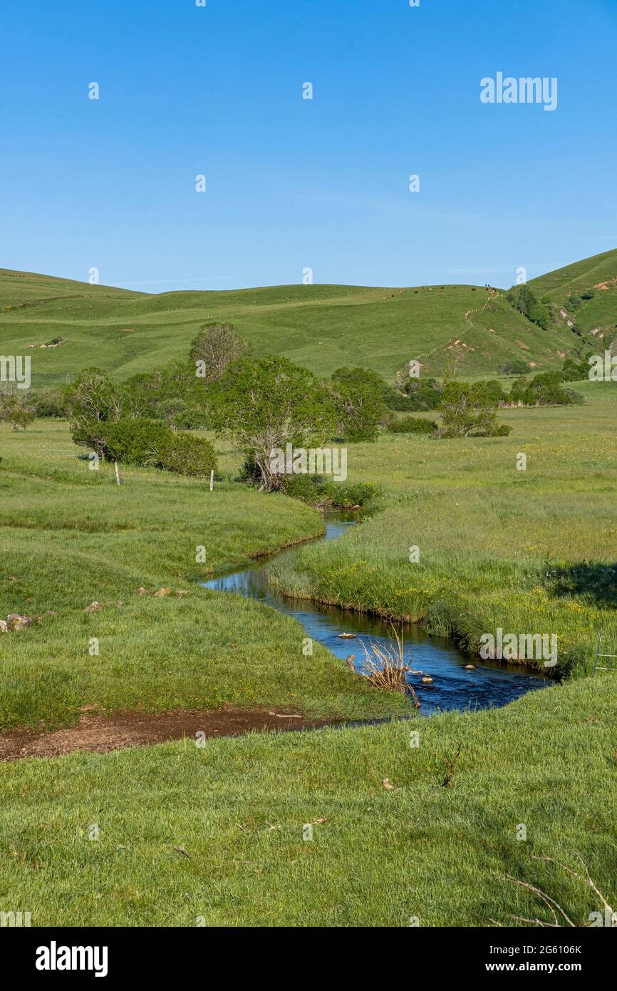 France, Puy de Dome, Saint Alyre es Montagne, couze of Ardes in Jassy ...