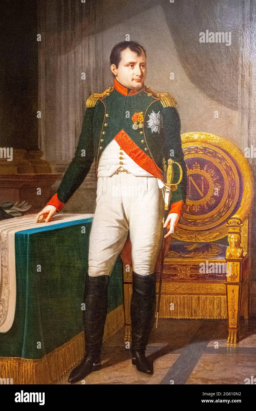 France, Paris, the Carnavalet museum, portrait of Napoleon 1st in the ...