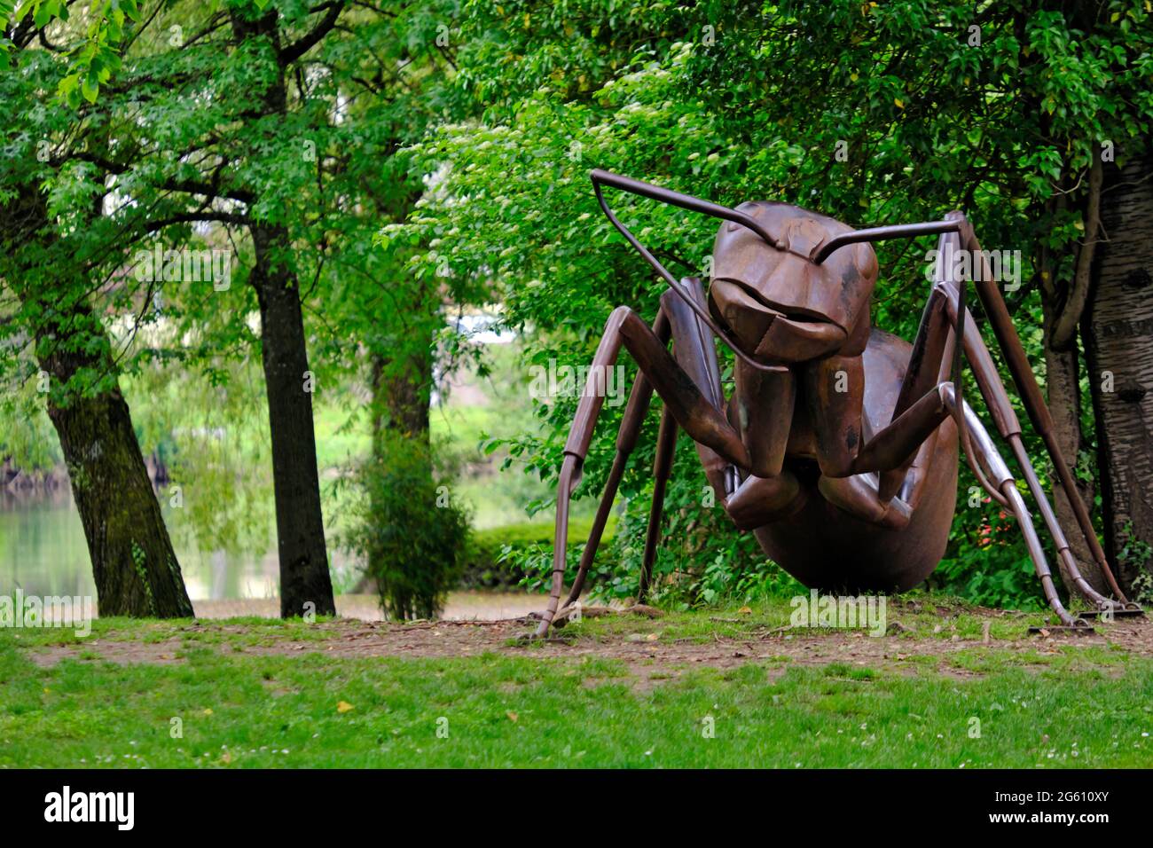 Giant ant hi-res stock photography and images - Alamy