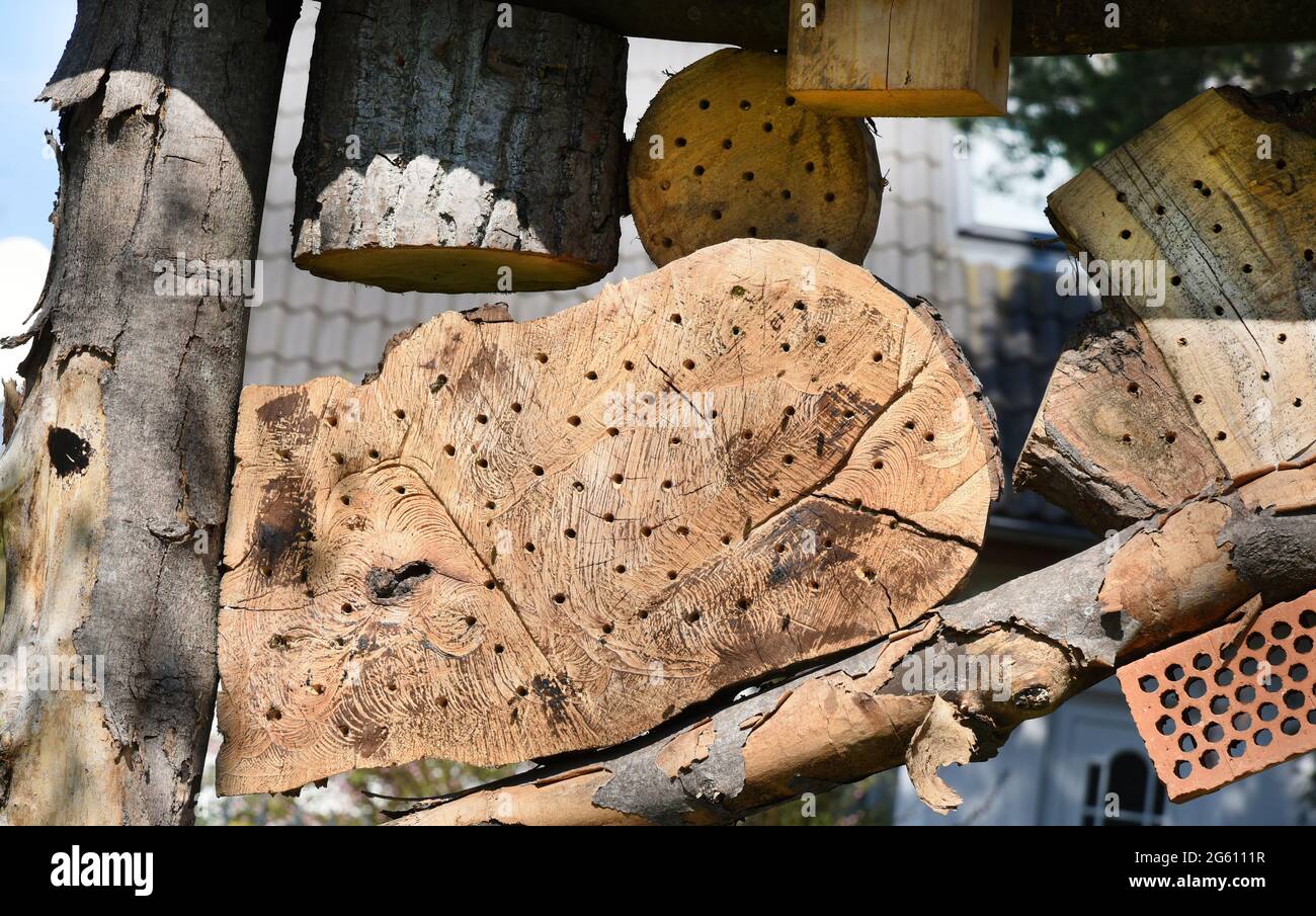 Leipzig, Germany. 28th Apr, 2021. A large insect hotel has been set up ...